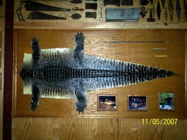 How To Tan an alligator Hide
